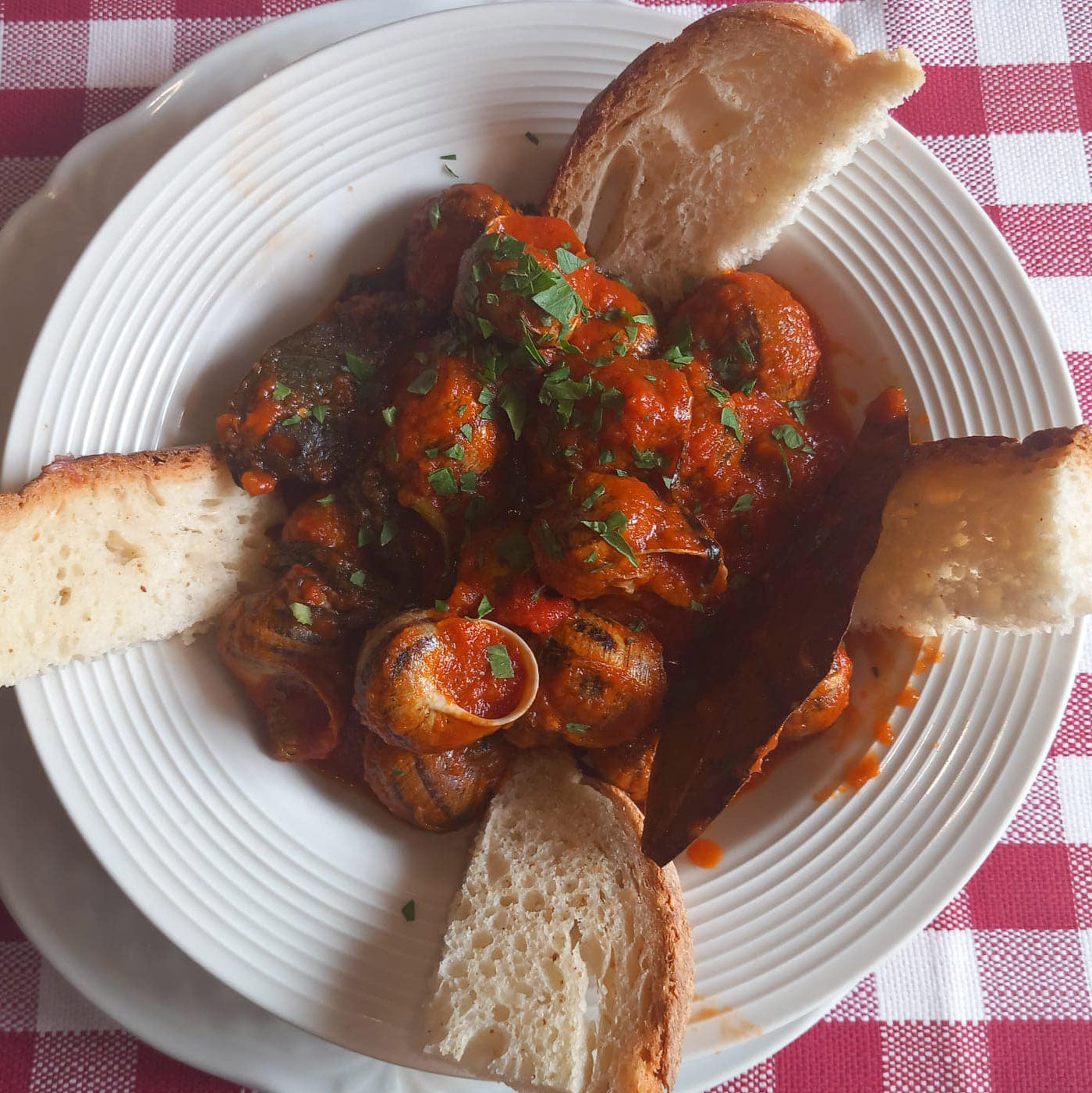 Lumache rigatelle in umido: ricetta – LUMACA ITALIA