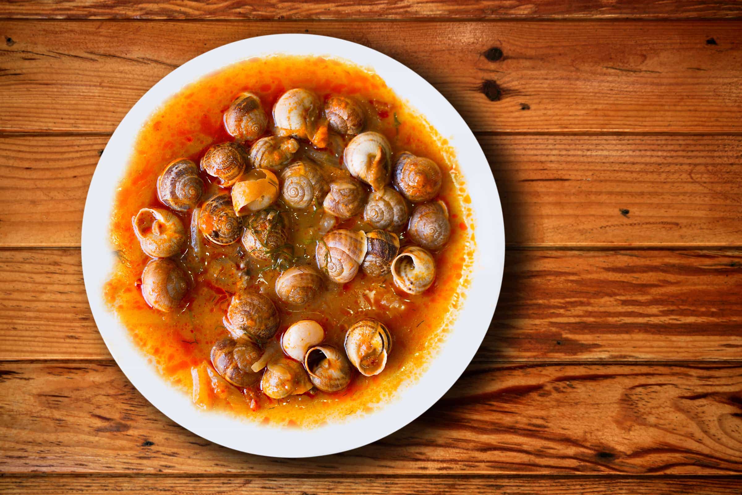 Lumaca Italia | Allevamento e vendita Escargot pronte per la cottura#N ...